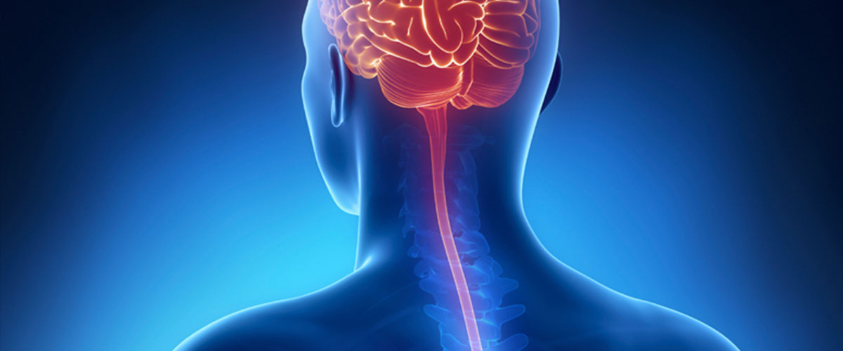 Neurosurgery Department - Faruk Medical City